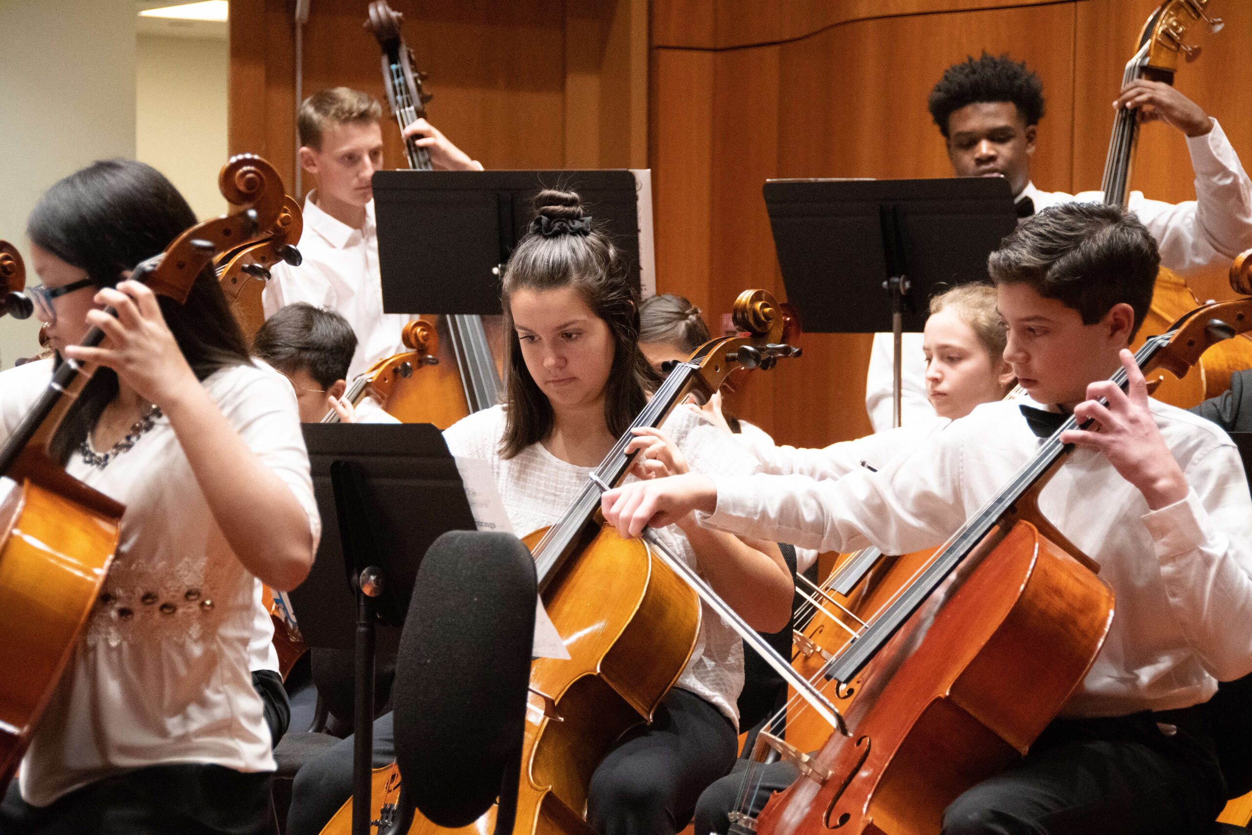 String Orchestra - Empire State Youth Orchestra